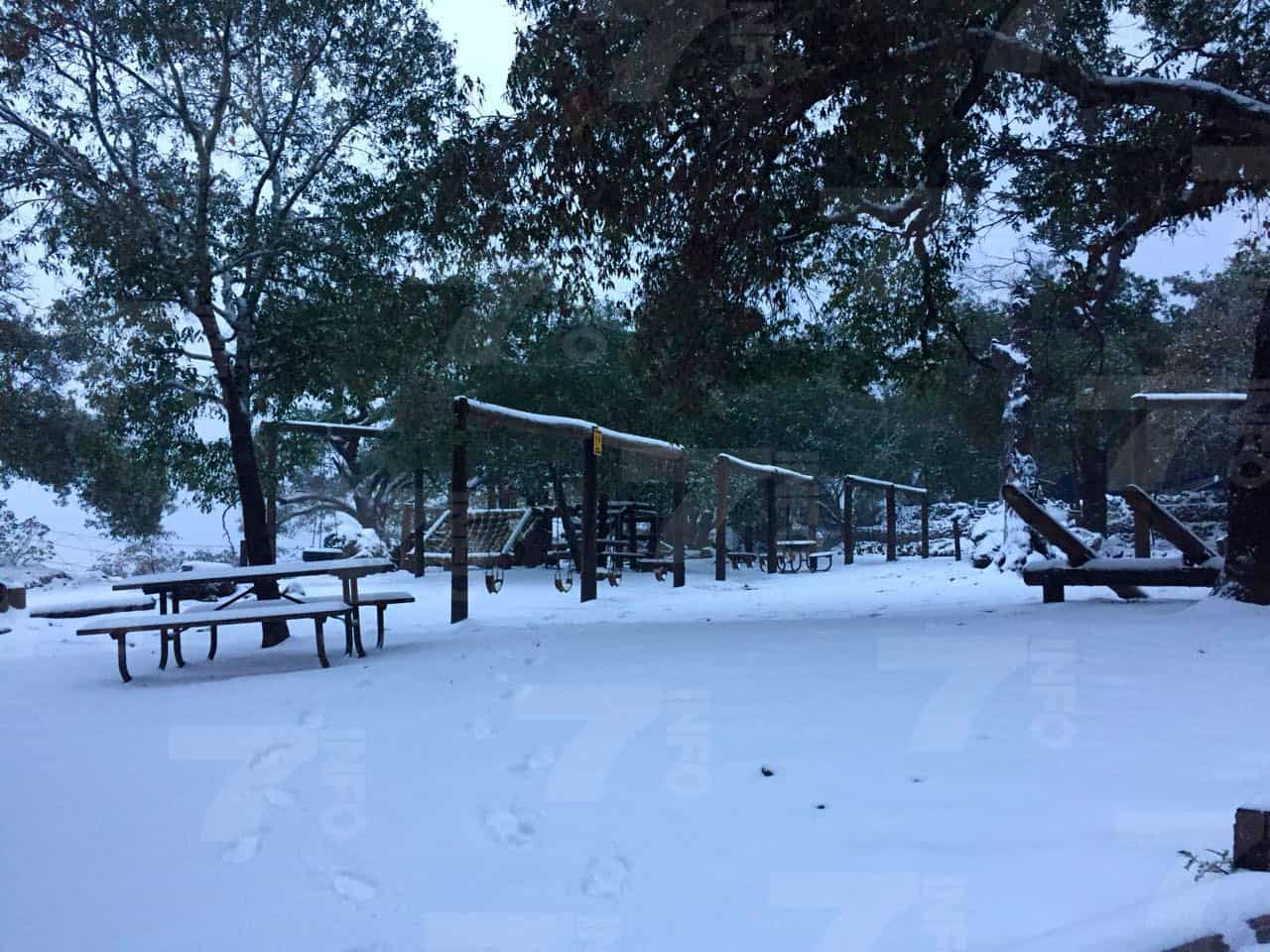 Nieve viste de blanco el Parque Ecológico Chipinque